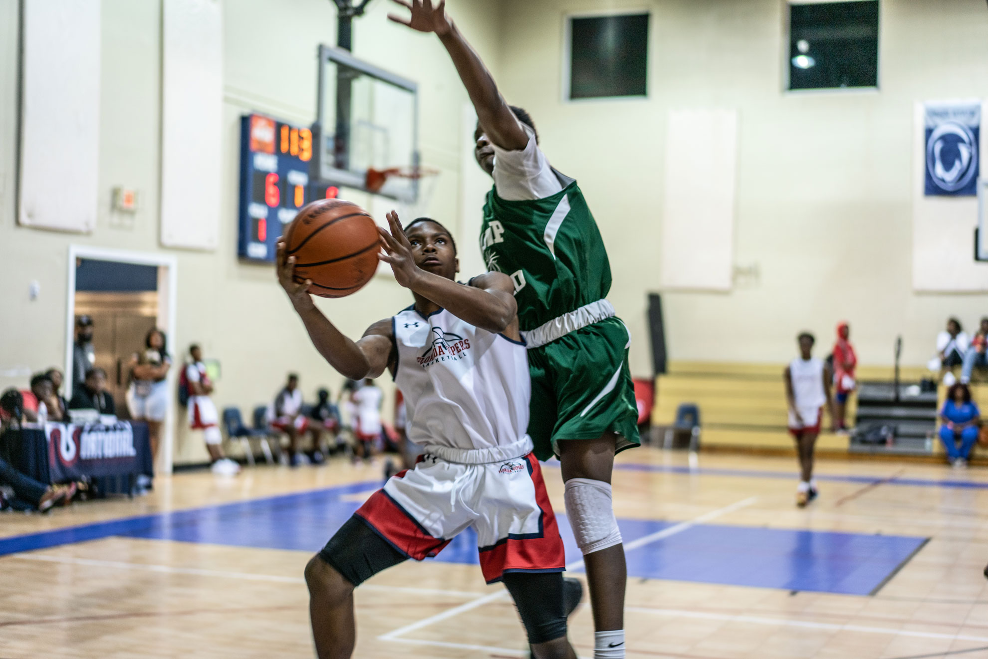 FLORIDA VIPERS ACADEMY